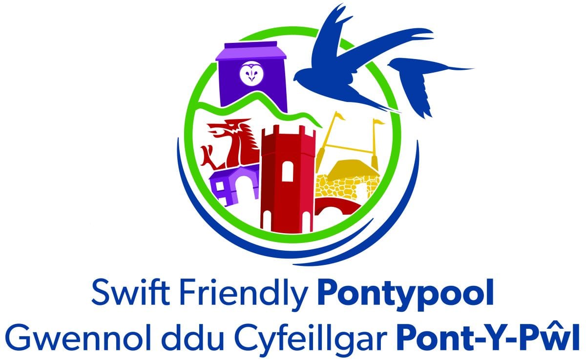 Swift Box Project - Pontypool Community Council