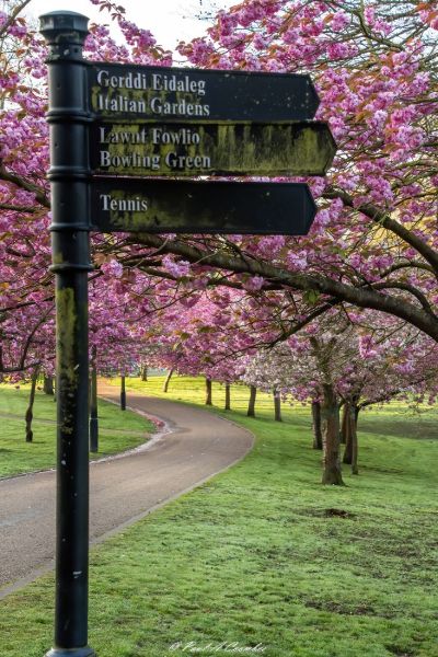 About Pontypool - Pontypool Community Council